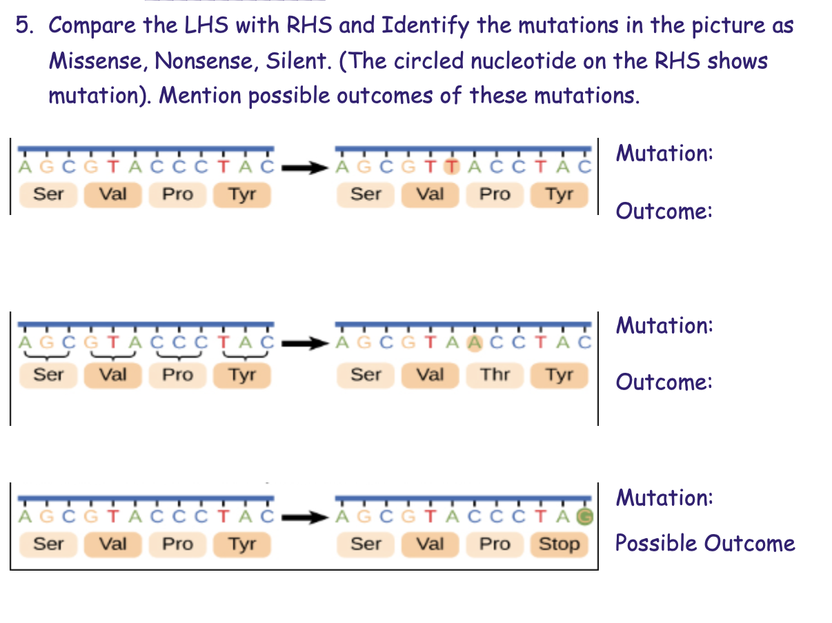 Solved 5. Compare the LHS with RHS and Identify the | Chegg.com