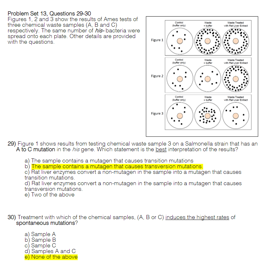Solved Please note that the highlighted answers are | Chegg.com