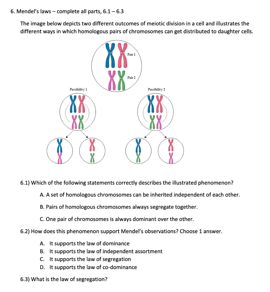 Solved 6. Mendel's laws - complete all parts, 6.1−6.3 The | Chegg.com
