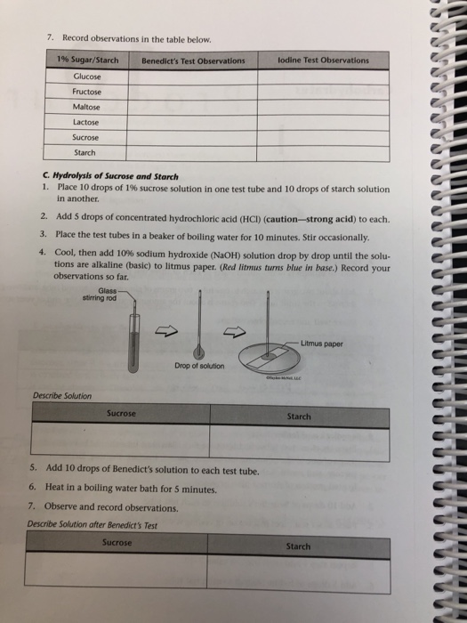 Solved 7. Record observations in the table below. | 1% | Chegg.com
