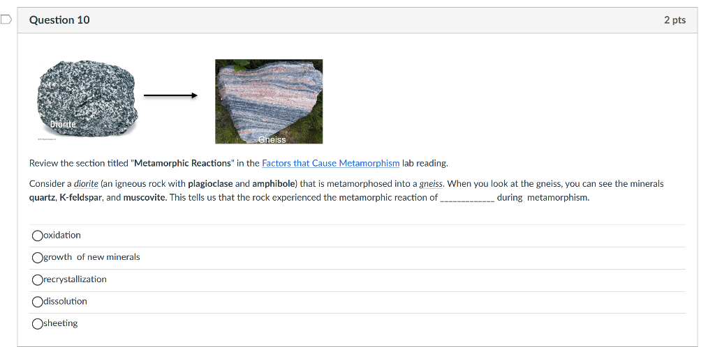 Solved Question 10 2 pts Diorite Gneiss Review the section | Chegg.com