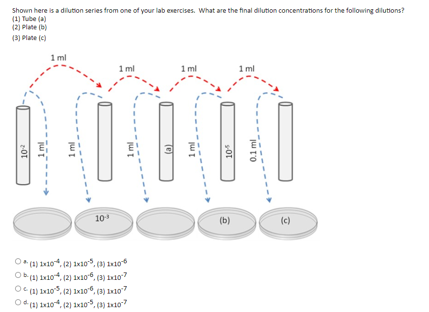 Solved Shown here is a dilution series from one of your lab | Chegg.com