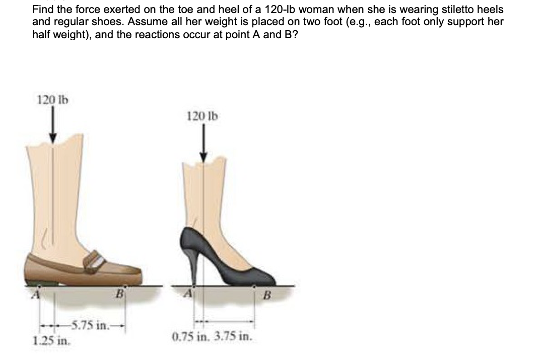 Solved Find the force exerted on the toe and heel of a | Chegg.com