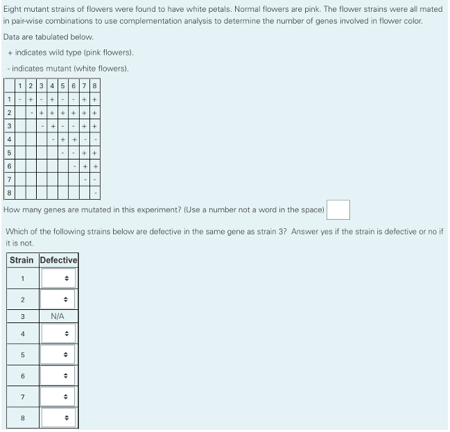 Solved Eight mutant strains of flowers were found to have | Chegg.com