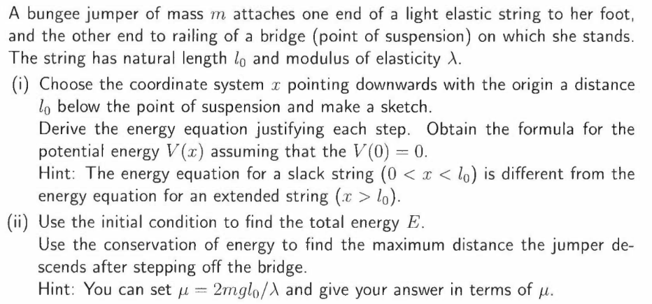 Solved A bungee jumper of ﻿mass m ﻿attaches one end of ﻿a | Chegg.com
