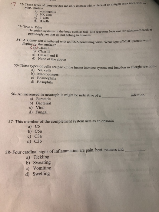 Solved MHC protein. ocytes can only interact with a piece of | Chegg.com