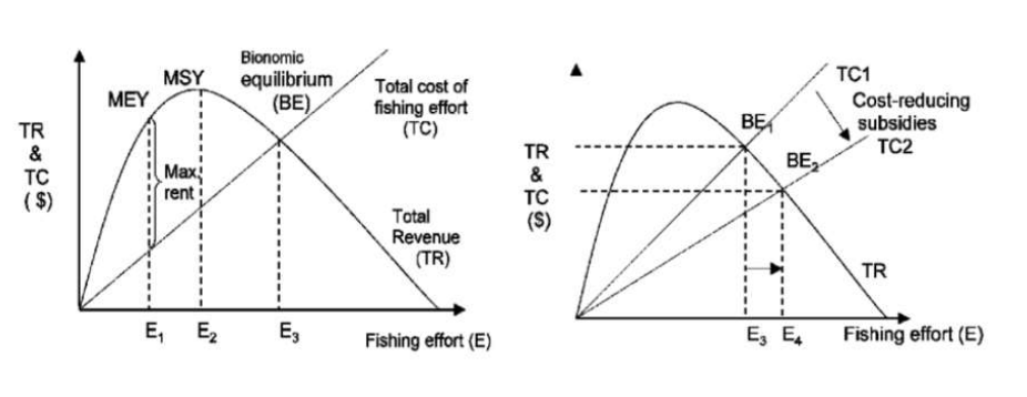 Solved 1. Figure 1 Bioeconomic model of Fisheries In | Chegg.com