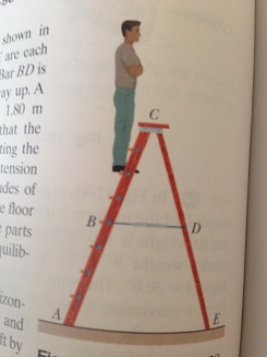 Solved For the stepladder shown in the figure, sides AC and | Chegg.com