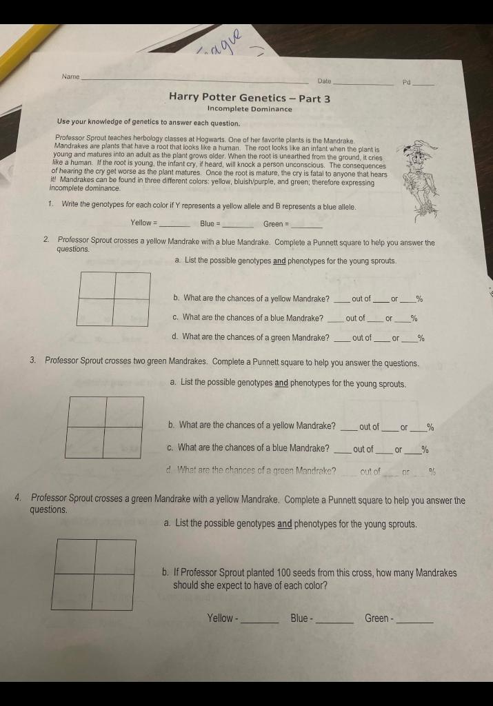 Solved ague Name Date Pd Harry Potter Genetics - Part 3 | Chegg.com