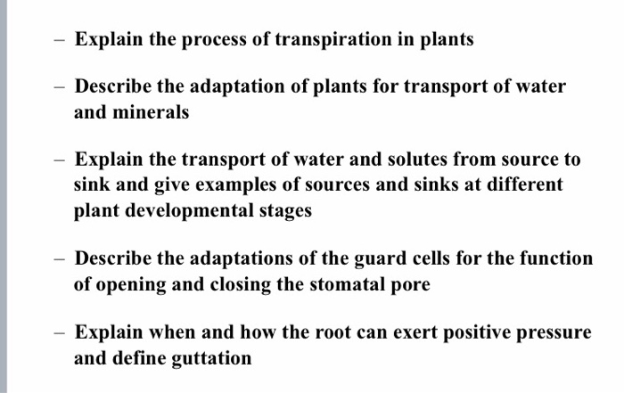 Transpiration Examples