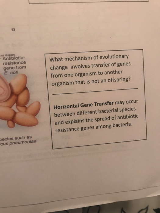 Solved 13 Antibiotic Resistance Gene From E Coli What Chegg solved-13-antibiotic-resistance-gene-from-e-coli-what-chegg