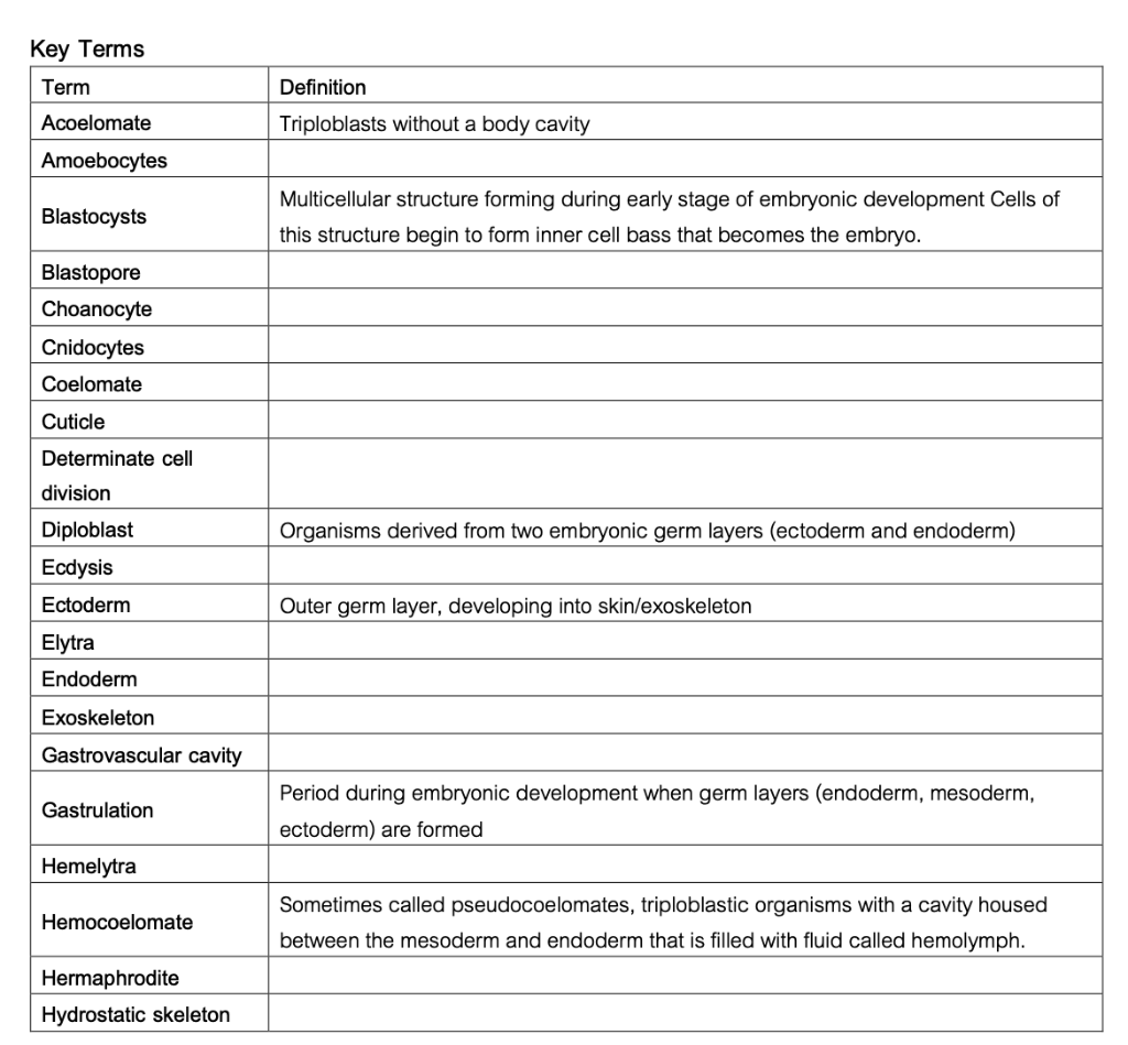 Solved Key Terms Term Definition Acoelomate Triploblasts | Chegg.com