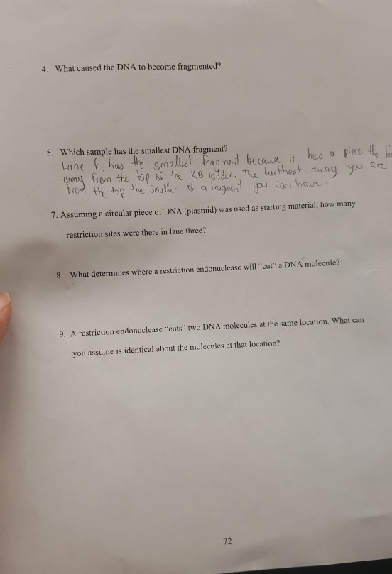 4. What caused the DNA to become fragmented?" 5. | Chegg.com