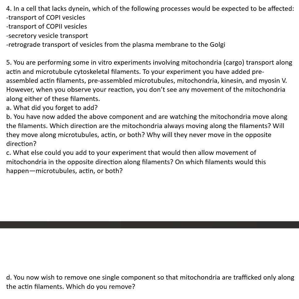Solved 4. In a cell that lacks dynein, which of the | Chegg.com