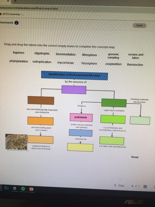 Solved ml KCTCS elearning-- lomework Drag and drop the | Chegg.com