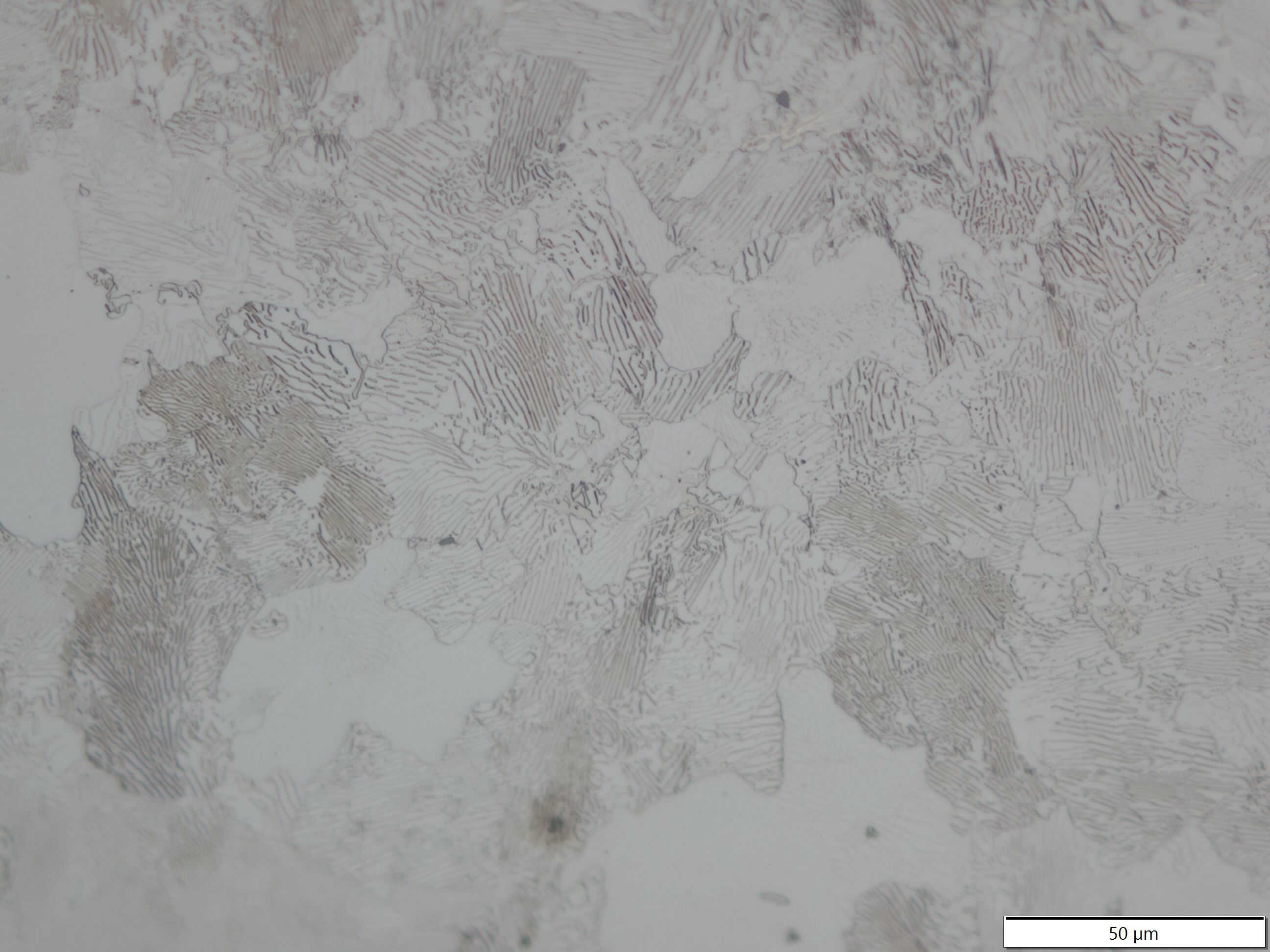 Solved 1. Discussion of the microstructures of Fe-C for the | Chegg.com
