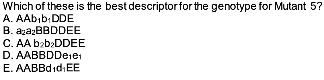 Solved Section 1 There Is Only One Answer Per Question For