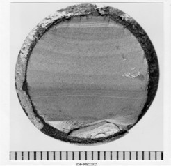 Solved Label the fracture surface evidence for the bolt | Chegg.com