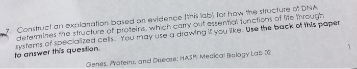 Solved Construct an explanation based on evidence (this lab) | Chegg.com