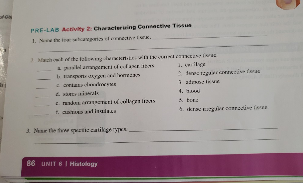 Solved of Obj PRE-LAB Activity 2: Characterizing Connective | Chegg.com