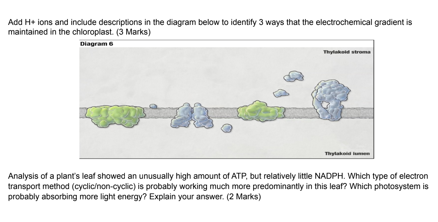 Solved Add H+ ions and include descriptions in the diagram | Chegg.com