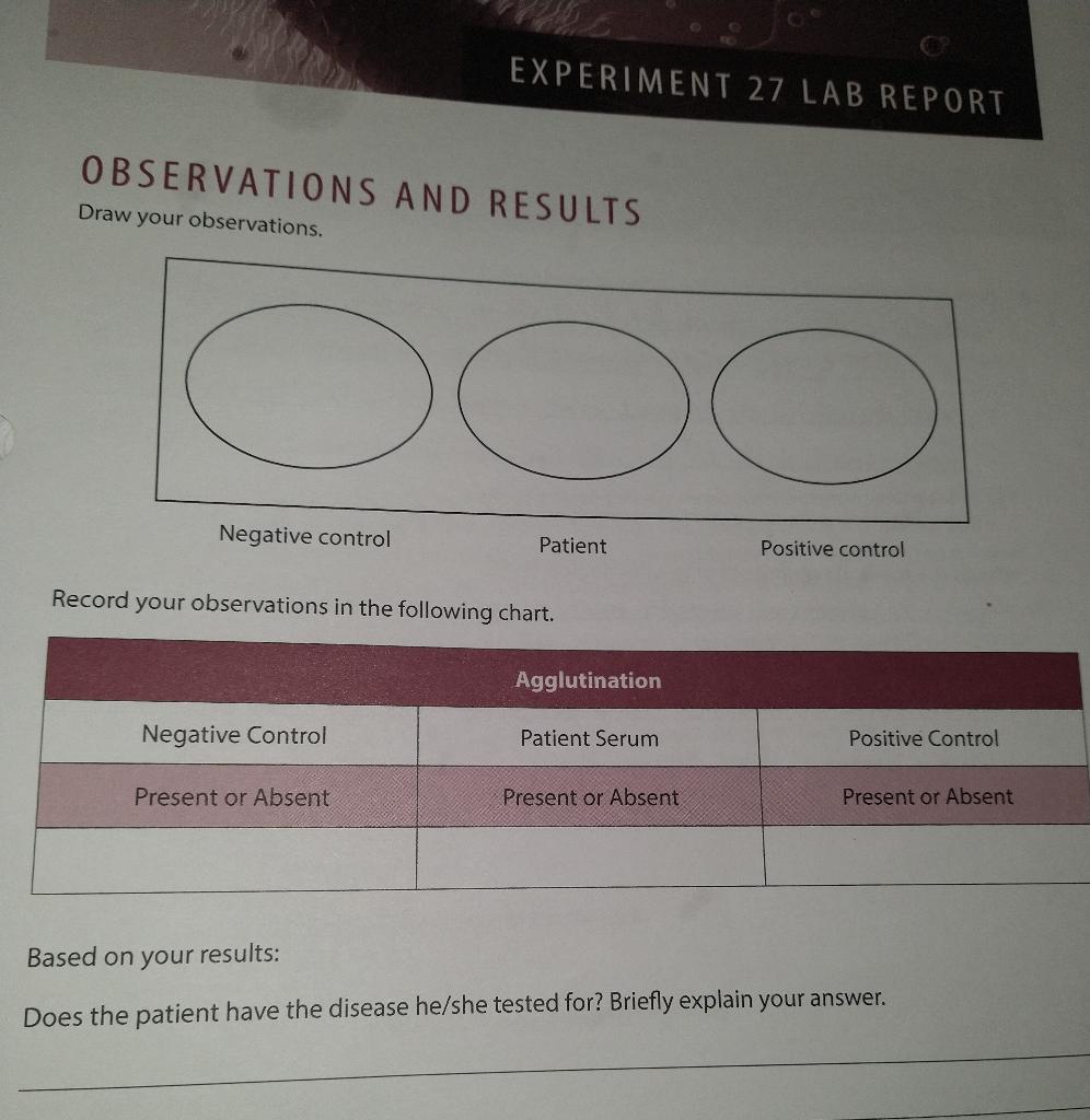 EXPERIMENT 27 LAB REPORT OBSERVATIONS AND RESULTS | Chegg.com