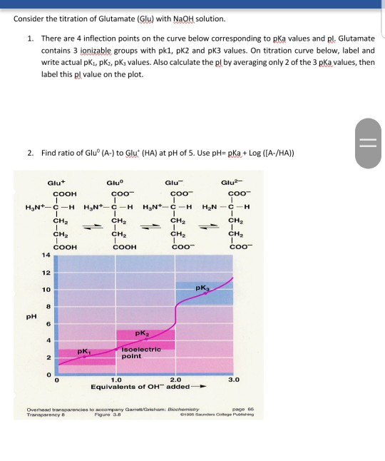 Glutamate Titration Curve