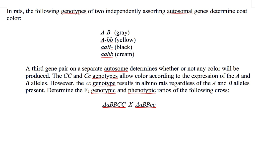 Solved In rats, the following genotypes of two independently | Chegg.com