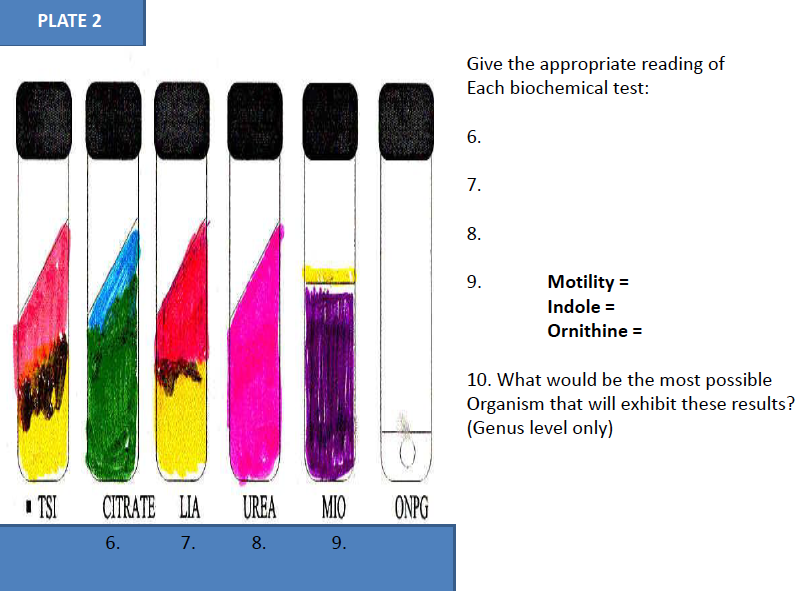 Solved PLATE 2 Give the appropriate reading of Each | Chegg.com