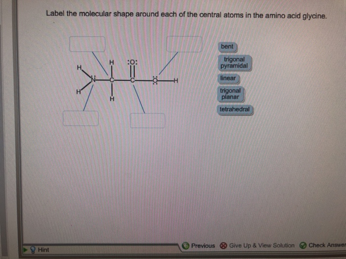 Solved Label the molecular shape around each of the central | Chegg.com