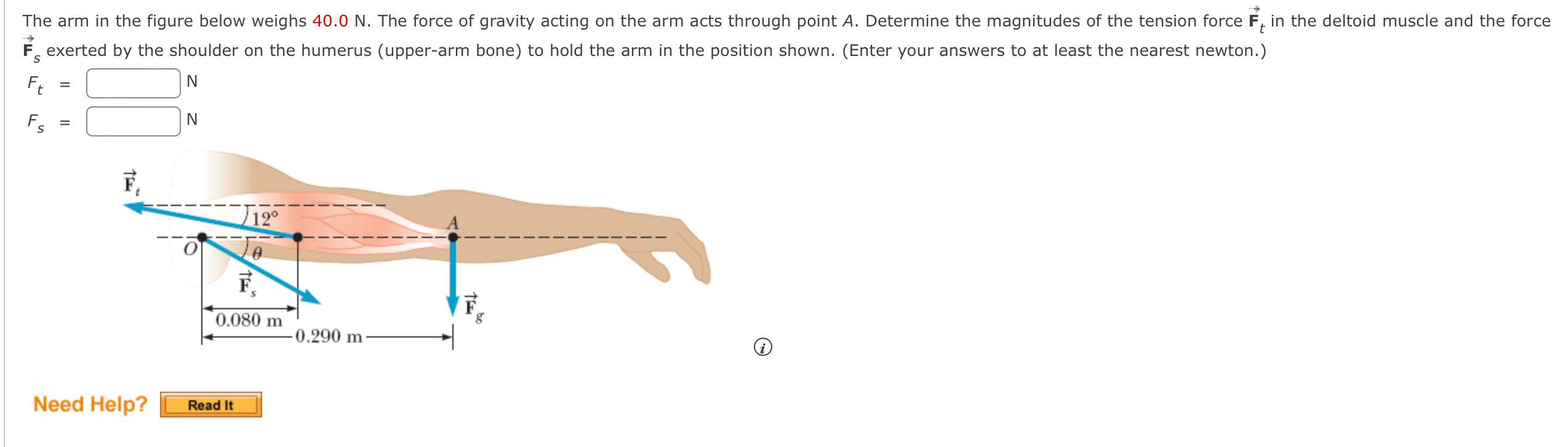 Solved The arm in the figure below weighs 40.0 N. The force | Chegg.com