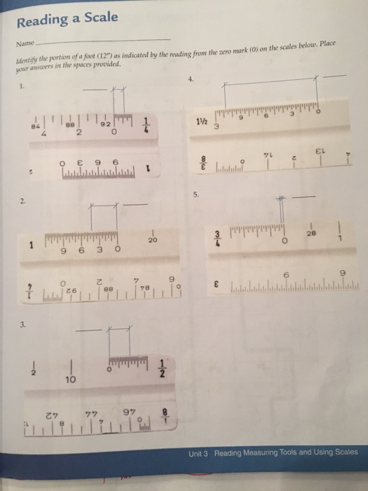 Solved Reading a Scale Name Identify the portion of a foot | Chegg.com
