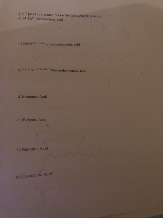 Solved 2)( 7 pts) Draw structures for the following fatty | Chegg.com