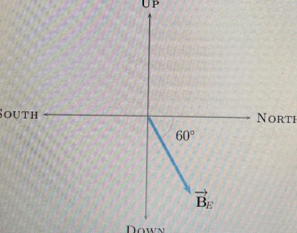 Solved 1) Bats are capable of navigating using the earth's | Chegg.com