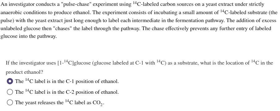 Solved An investigator conducts a \"pulse-chase\" experiment | Chegg.com