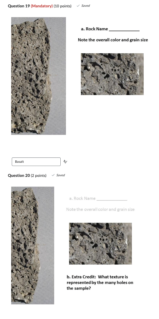 Solved Note the overall color and grain size Question 20 ( 2 | Chegg.com
