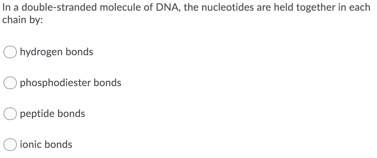 Solved In a double-stranded molecule of DNA, the nucleotides | Chegg.com