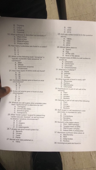 Solved C. Uraci D. Cytosine E. Guanine B. 1900 C. 2000 D. | Chegg.com