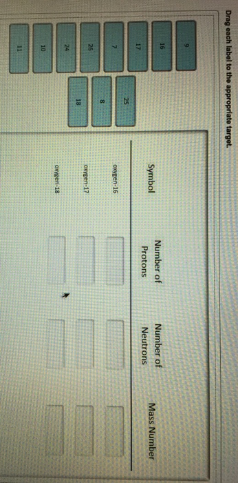 Solved Drag each label to the appropriate target. | Chegg.com