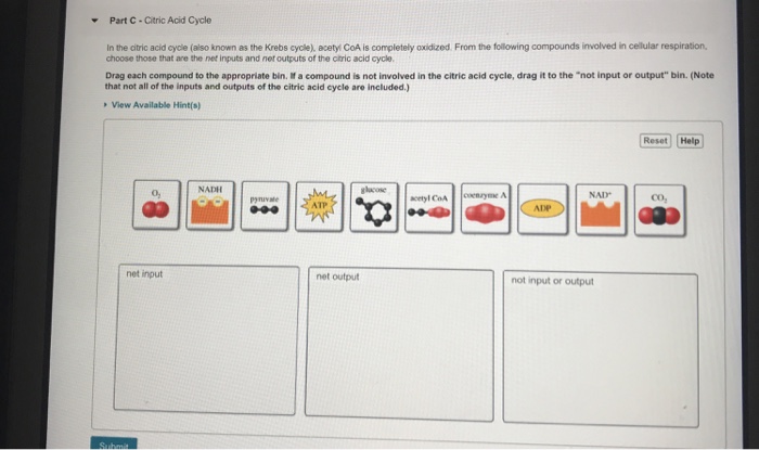 Solved Part C Citric Acid Cycle In The Citric Acid Cycle Chegg