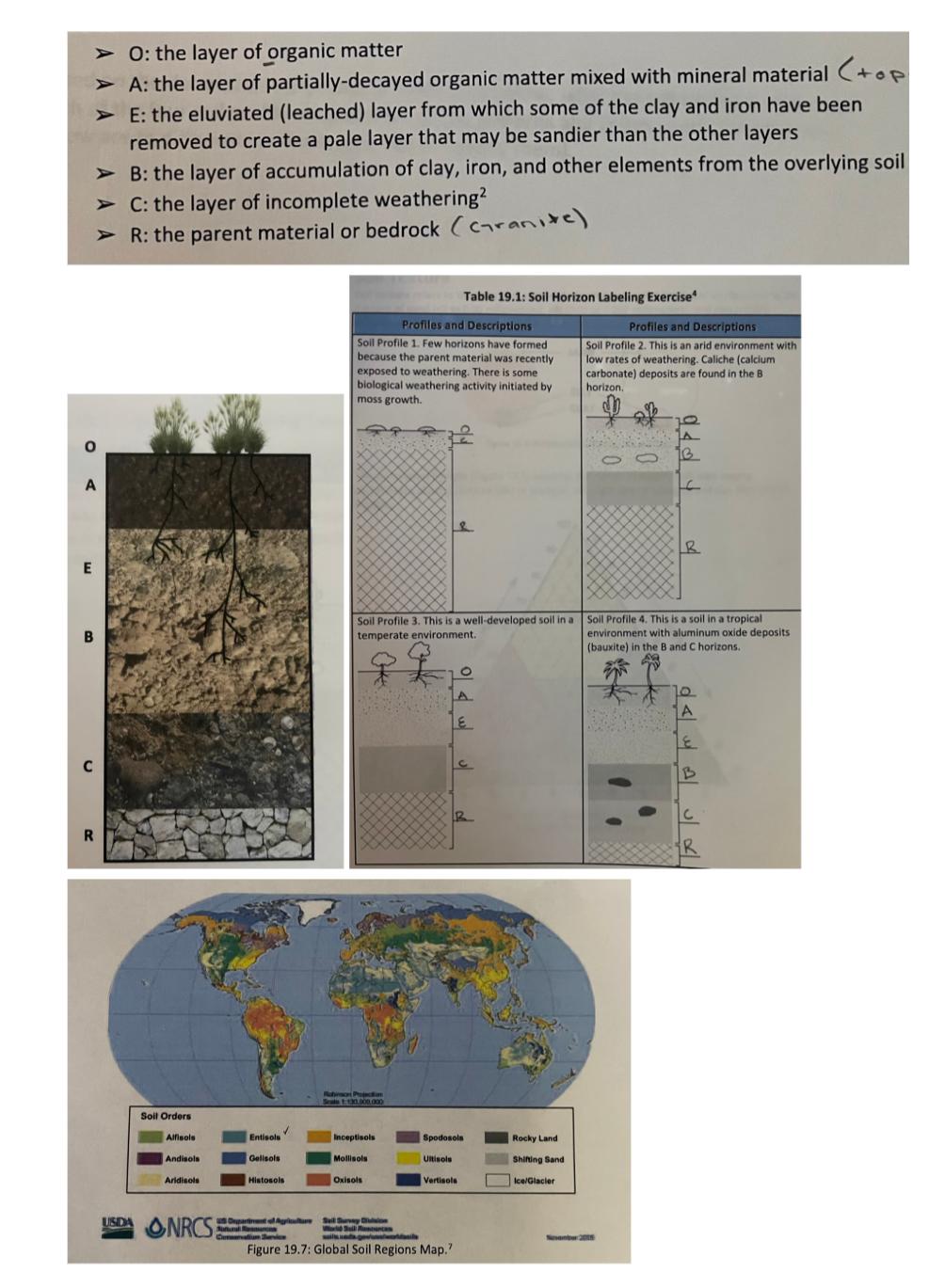 1.Table 19.1: Which one of the four soil profiles | Chegg.com