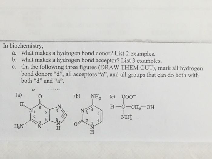 Hydrogen Bond Examples List