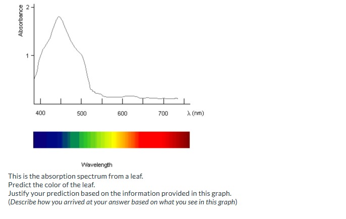 Wavelength This is the absorption spectrum from a | Chegg.com
