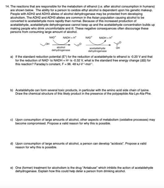 14. The reactions that are responsible for the | Chegg.com