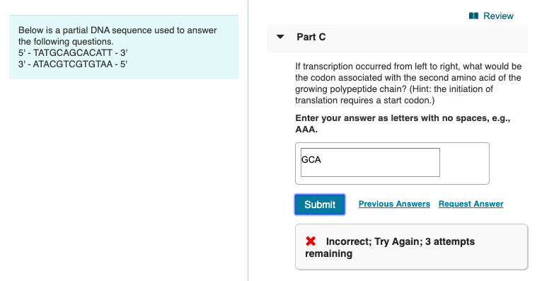 Solved Review Part C Below is a partial DNA sequence used to | Chegg.com