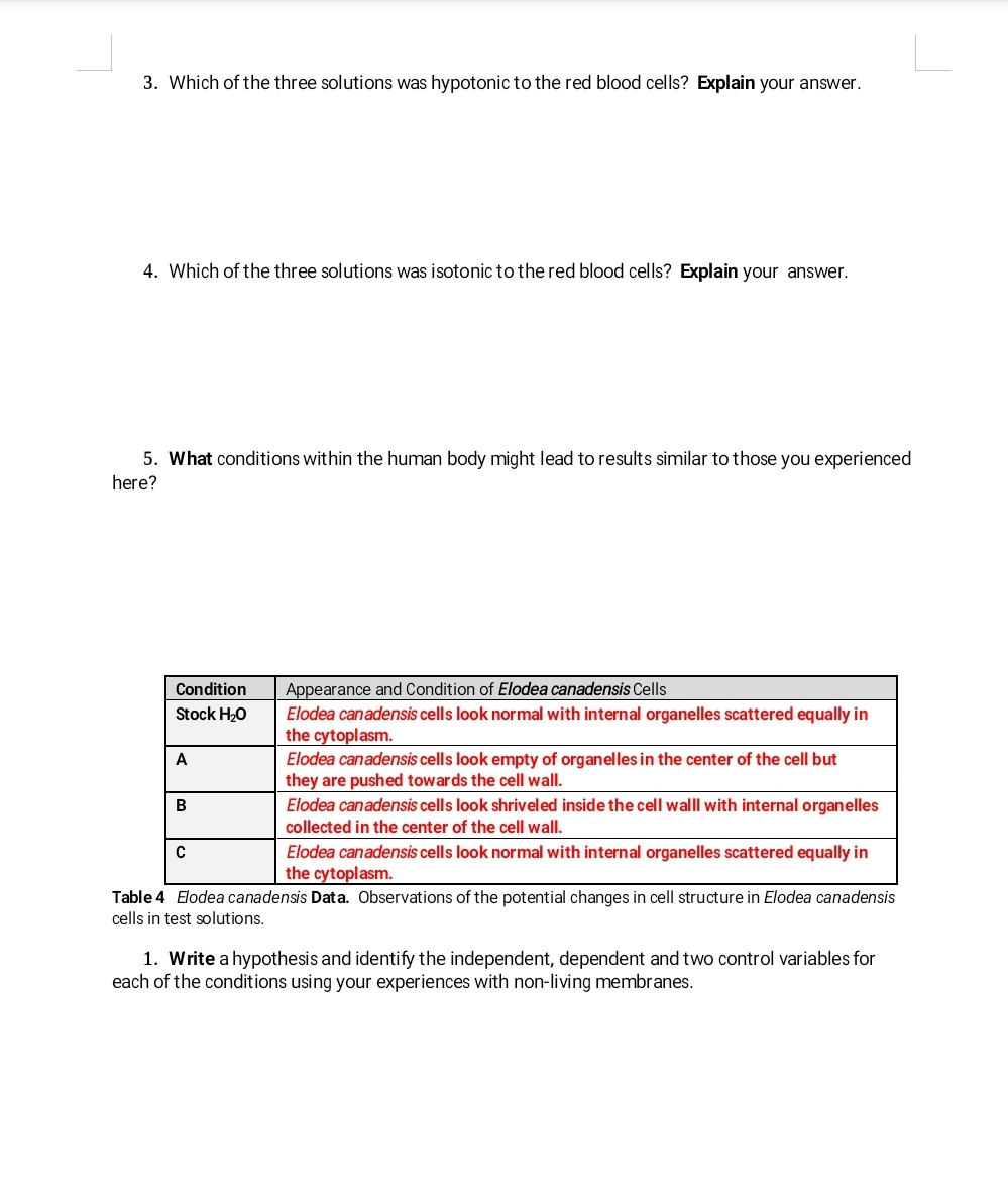 Lab Section: Report Sheet Transporting Across | Chegg.com