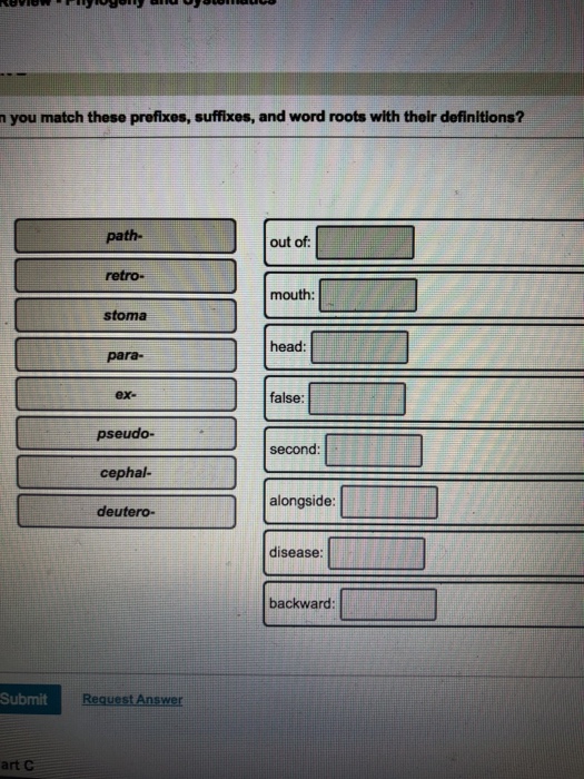 Solved you match these prefixes, suffixes, and word roots | Chegg.com