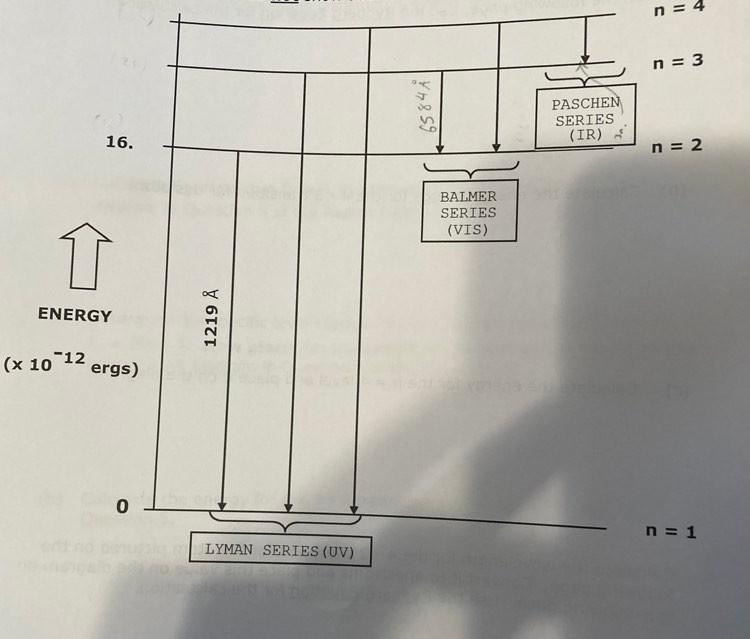 Solved Calculate the energy for the n=3 level of this | Chegg.com
