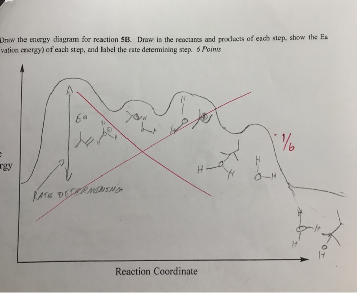 Solved Draw the energy diagram for the following reaction | Chegg.com