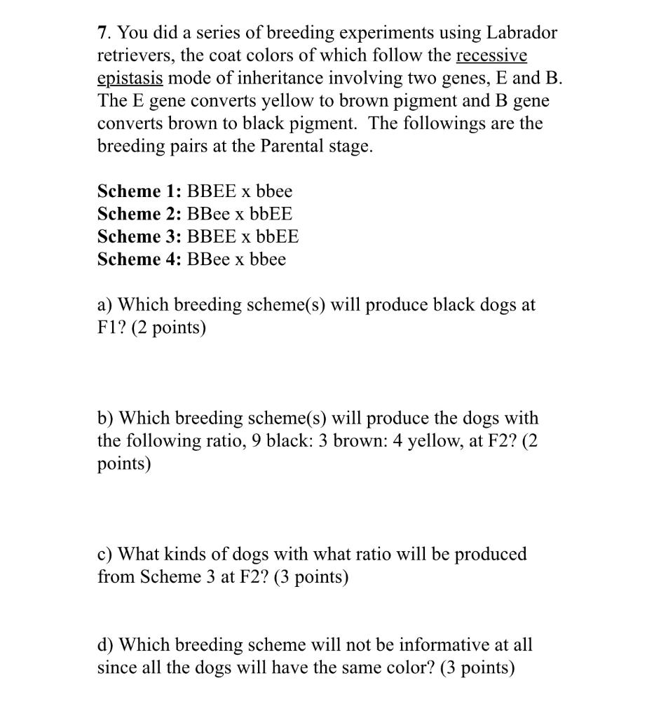 Solved 7. You did a series of breeding experiments using | Chegg.com
